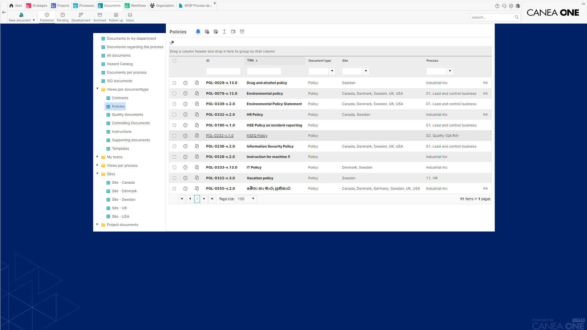 CANEA ONE – IT support for management systems